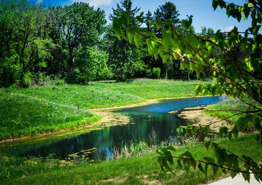 The Enclave at Mequon Preserve South | Neighborhoods | Veridian Homes