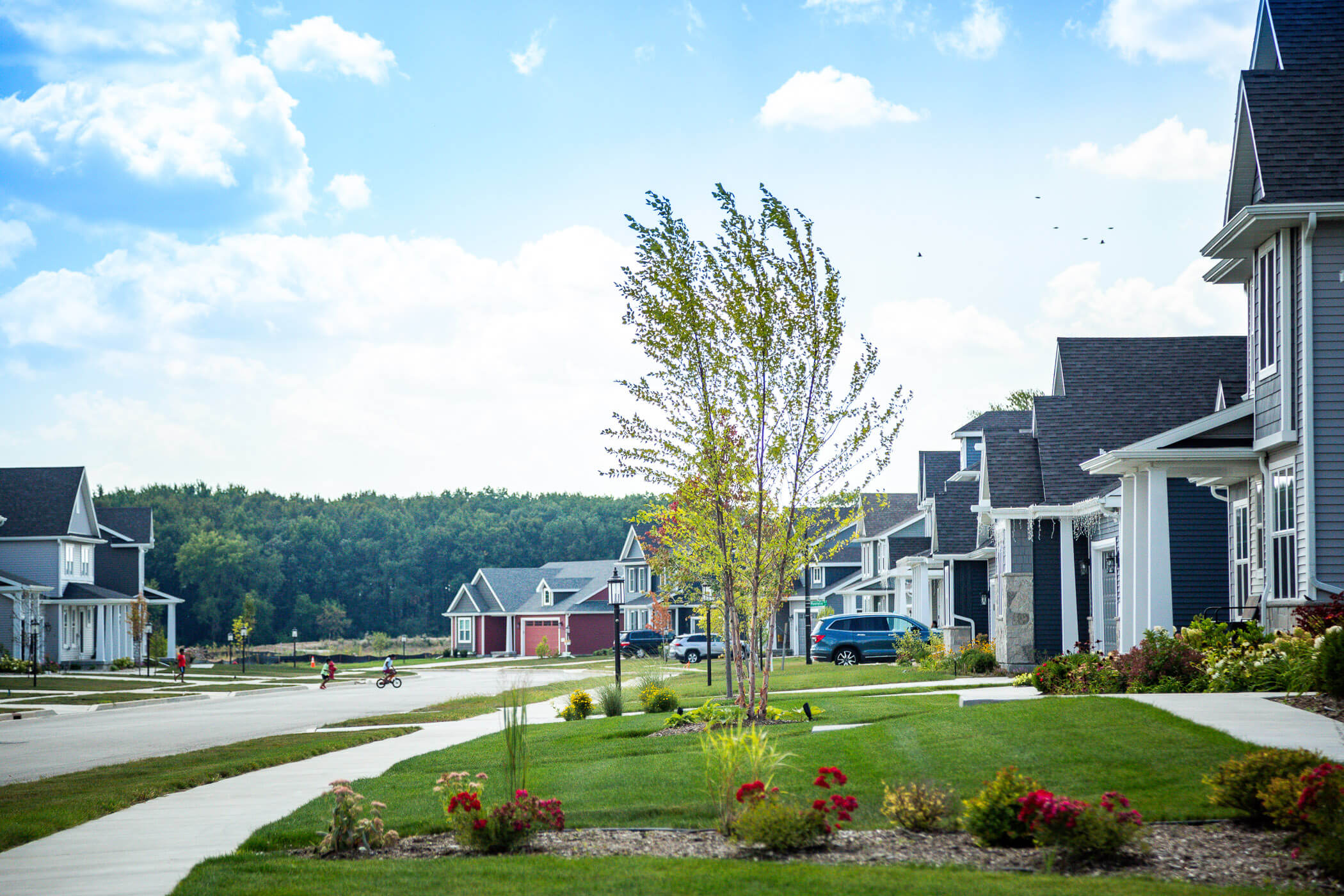 Evergreen Fields | Veridian Homes