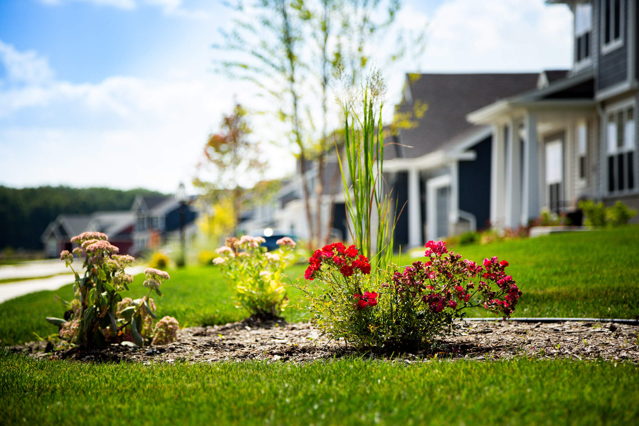 Evergreen Fields | Veridian Homes