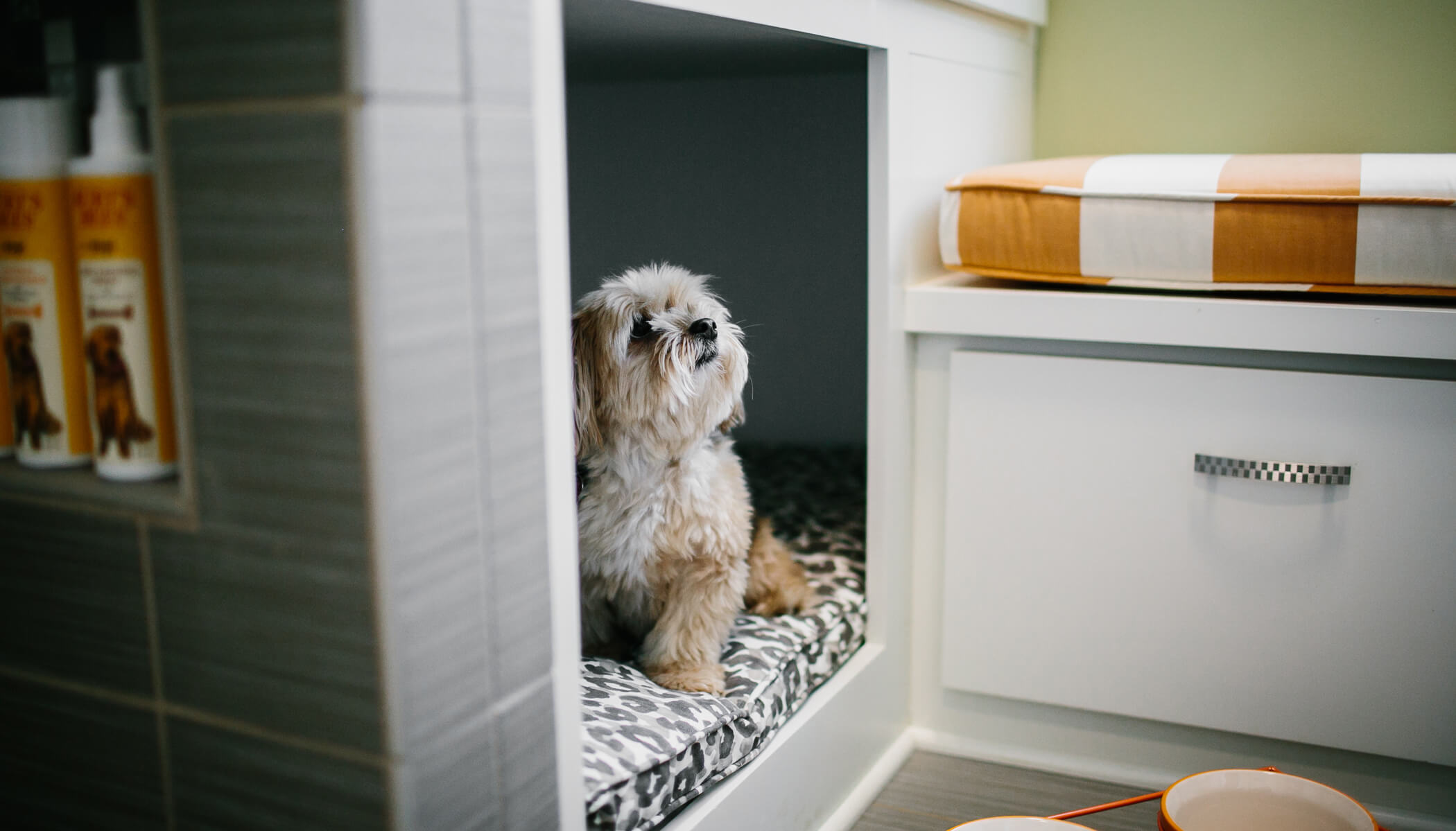 How to Build the Perfect Dog Domain | Veridian Homes