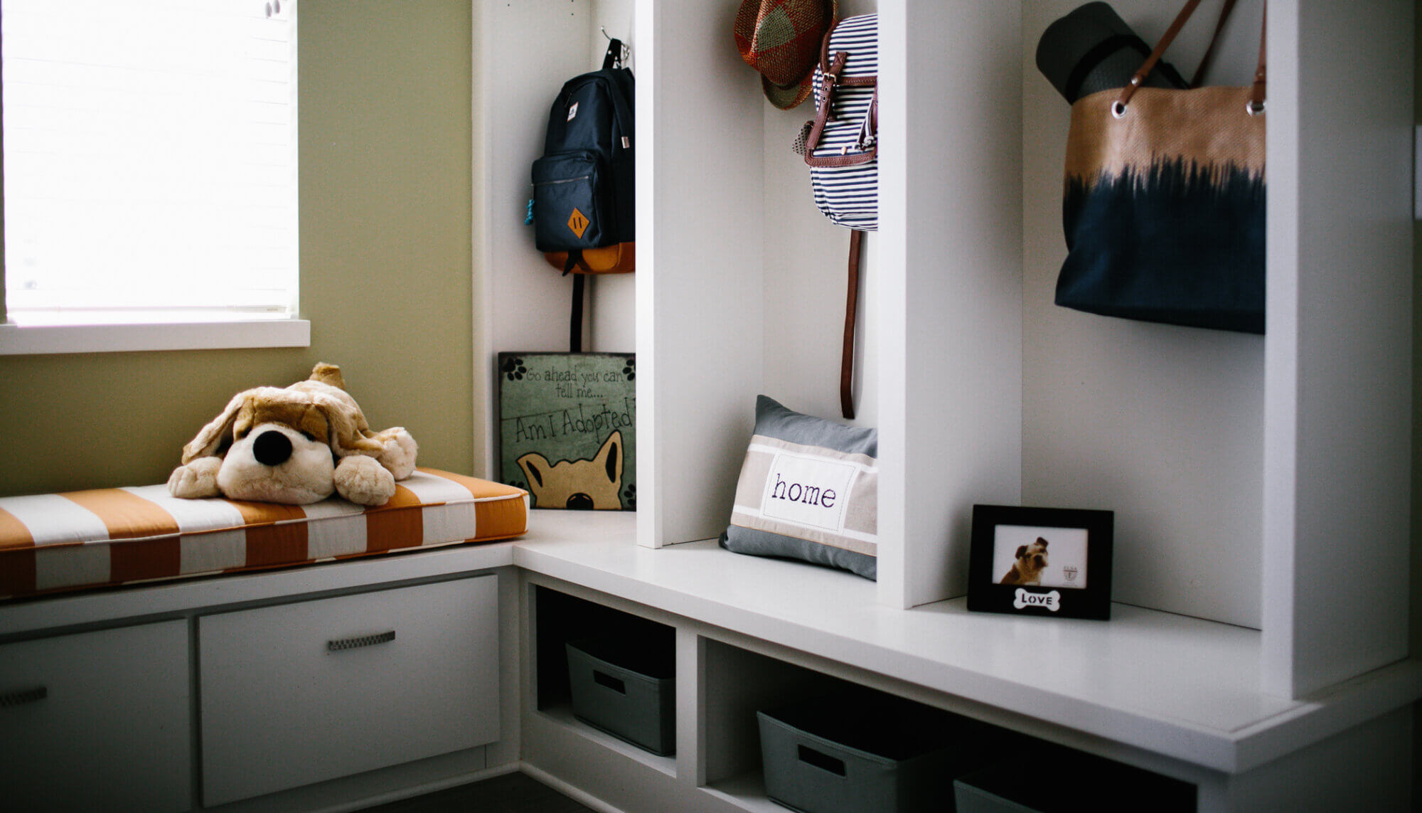 How to Build the Perfect Dog Domain | Veridian Homes