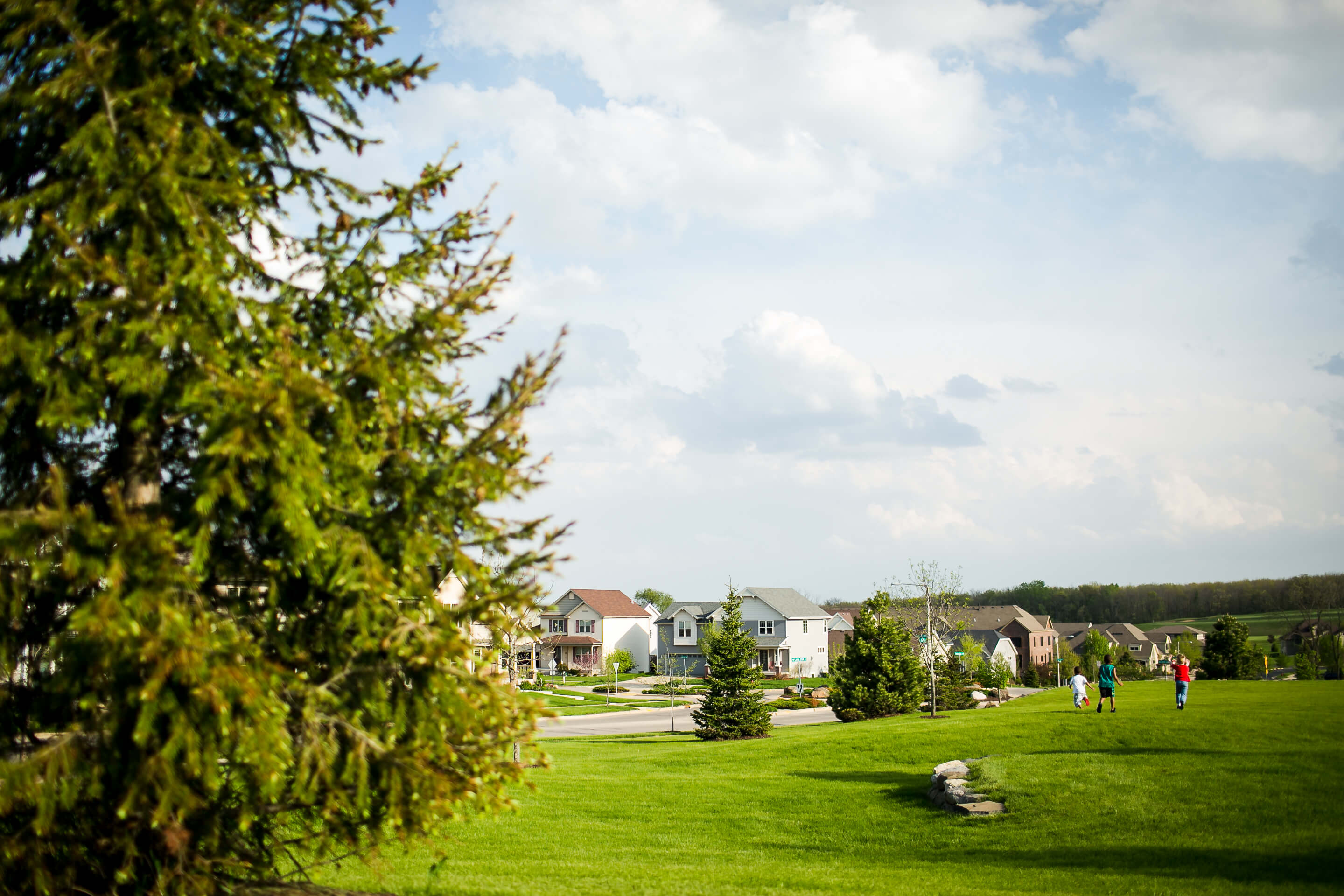 Featured Neighborhood: Midpoint Meadows | Veridian Homes